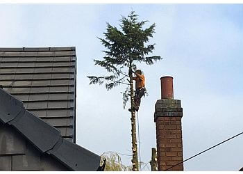 3 Best Tree Services in Leicester, UK - Expert Recommendations