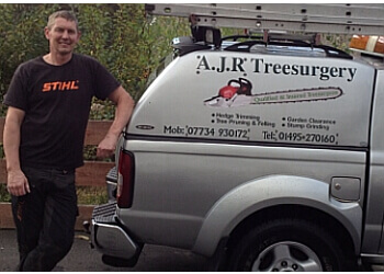 3 Best Tree Services in Newport, UK - Expert Recommendations