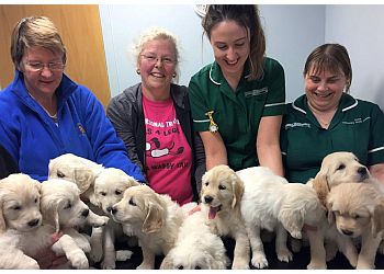 3 Best Vets in Renfrewshire, UK - Expert Recommendations