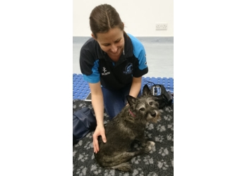3 Best Vets in Barnsley, UK - ThreeBestRated