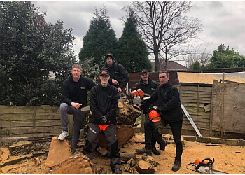 3 Best Tree Services in Oldham, UK - Expert Recommendations