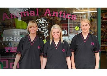 3 Best Pet Grooming in Doncaster, UK - Expert Recommendations