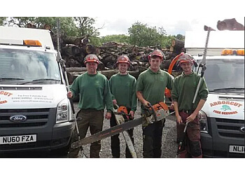 3 Best Tree Services in Stockton On Tees, UK - Expert Recommendations