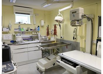 3 Best Vets in Cambridge, UK - Expert Recommendations