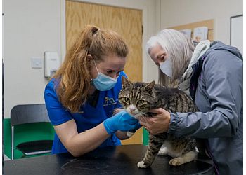 3 Best Vets in Carlisle, UK - Expert Recommendations