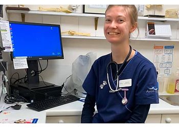 3 Best Vets in Salisbury, UK - Expert Recommendations