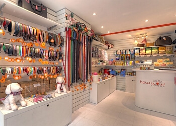 3 Best Pet Shops in London, UK - Expert Recommendations