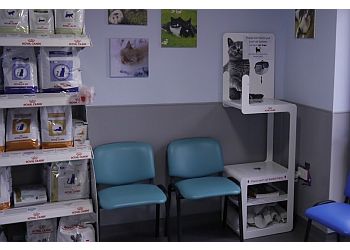 3 Best Vets in Norwich, UK - Expert Recommendations