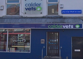 3 Best Vets in Wakefield, UK - Expert Recommendations