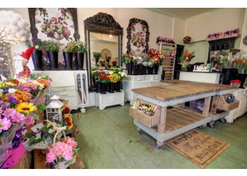 3 Best Florists in Sunderland, UK - Expert Recommendations
