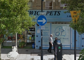 3 Best Pet Shops in London, UK - ThreeBestRated