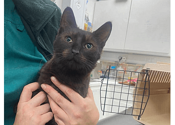 3 Best Vets in Exeter, UK - Expert Recommendations