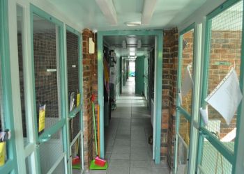 3 Best Pet Grooming in Coventry, UK - Expert Recommendations