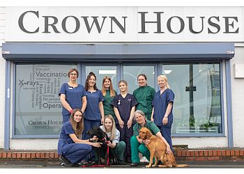 3 Best Vets in Rochdale, UK - Expert Recommendations