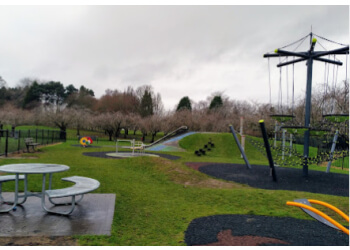 3 Best Parks in Dundee, UK - Expert Recommendations