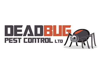 3 Best Pest Control in Newcastle Upon Tyne, UK - Expert Recommendations