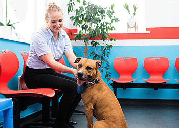 3 Best Vets in Derby, UK - Expert Recommendations