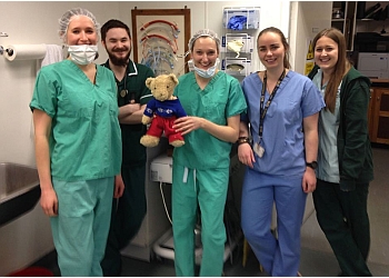 3 Best Vets in Salisbury, UK - Expert Recommendations