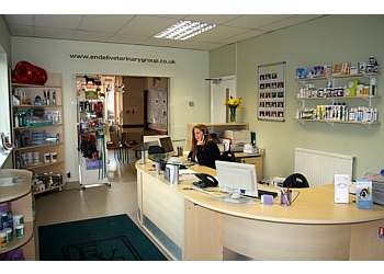 3 Best Vets in Salisbury, UK - Expert Recommendations