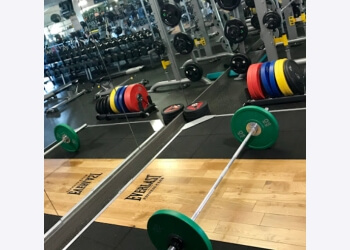 3 Best Gyms in Colchester, UK - Expert Recommendations