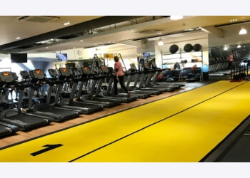 3 Best Gyms in Colchester, UK - Expert Recommendations