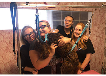 3 Best Pet Grooming in Swindon, UK - ThreeBestRated