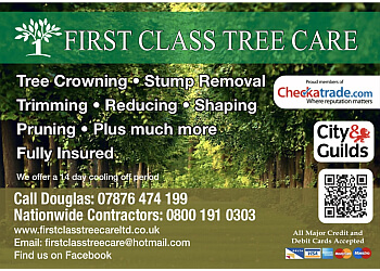 3 Best Tree Services in Chester, UK - Expert Recommendations