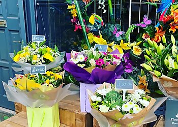 3 Best Florists in Liverpool, UK - Expert Recommendations