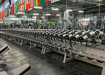 3 Best Gyms in Dudley, UK - Expert Recommendations