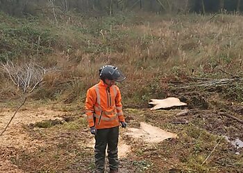 3 Best Tree Services in Merthyr Tydfil, UK - Expert Recommendations