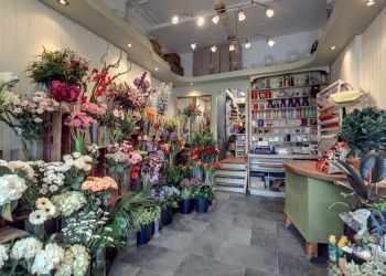 3 Best Florists in Edinburgh, UK - Expert Recommendations