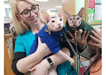 3 Best Vets in Tameside, UK - Expert Recommendations