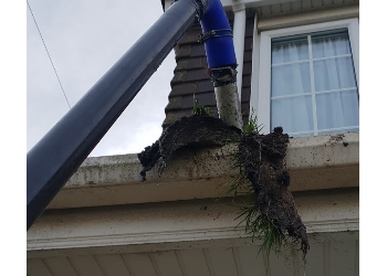 3 Best Gutter Cleaners in Bristol, UK - Expert Recommendations