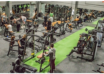 3 Best Gyms in Leicester, UK - Expert Recommendations