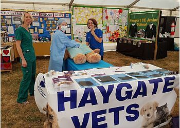 3 Best Vets in The Wrekin, UK - Expert Recommendations