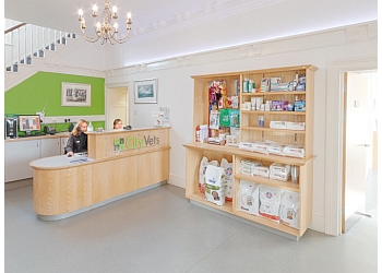 3 Best Vets in Exeter, UK - Expert Recommendations