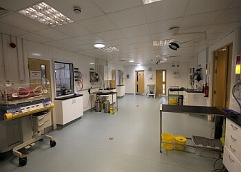 3 Best Vets in Bristol, UK - Expert Recommendations