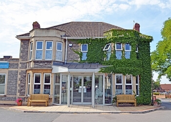 3 Best Vets in Bristol, UK - Expert Recommendations