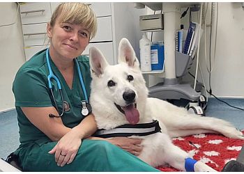 3 Best Vets in Tameside, UK - Expert Recommendations