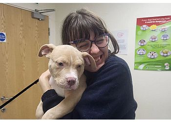 3 Best Vets in Tameside, UK - Expert Recommendations