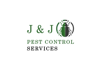 3 Best Pest Control in Wirral, UK - Expert Recommendations