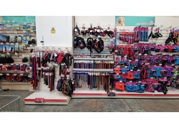3 Best Pet Shops in Newport, UK - Expert Recommendations