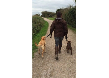 3 Best Dog Trainers in Sittingbourne, UK - Expert Recommendations