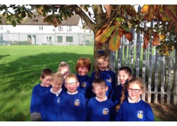 3 Best Primary School in Lisburn, UK - Expert Recommendations