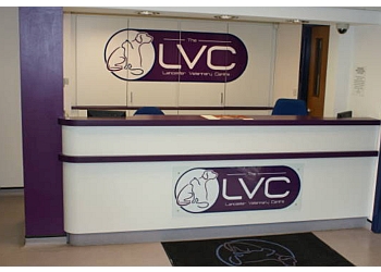 3 Best Vets in Lancaster, UK - Expert Recommendations