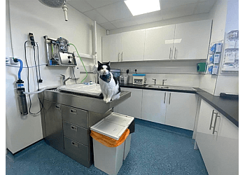 3 Best Vets in Nottingham, UK - Expert Recommendations