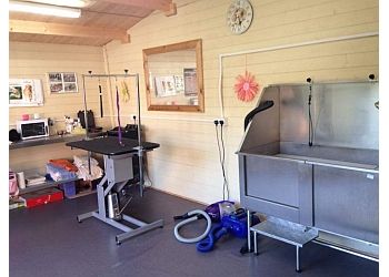 3 Best Pet Grooming in Southampton, UK - Expert Recommendations