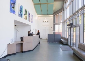 3 Best Vets in Stoke On Trent, UK - Expert Recommendations