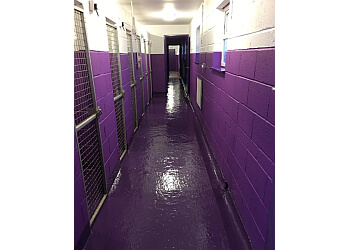 3 Best Boarding Kennels in Doncaster, UK - ThreeBestRated