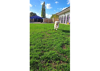 3 Best Boarding Kennels in Doncaster, UK - ThreeBestRated